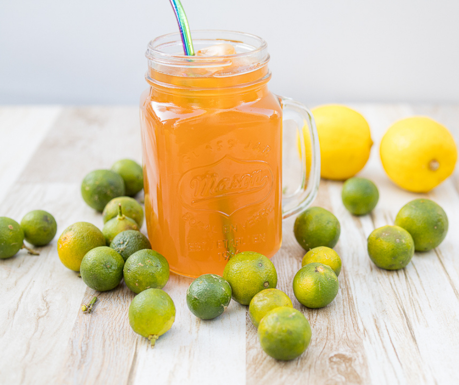 Premium Iced Tea Concentrate with Calamansi Extract – The Sunrise Grocer